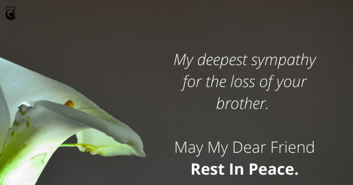 150+ Sympathy Messages For Loss Of Brother That Unveils The Pain In ...